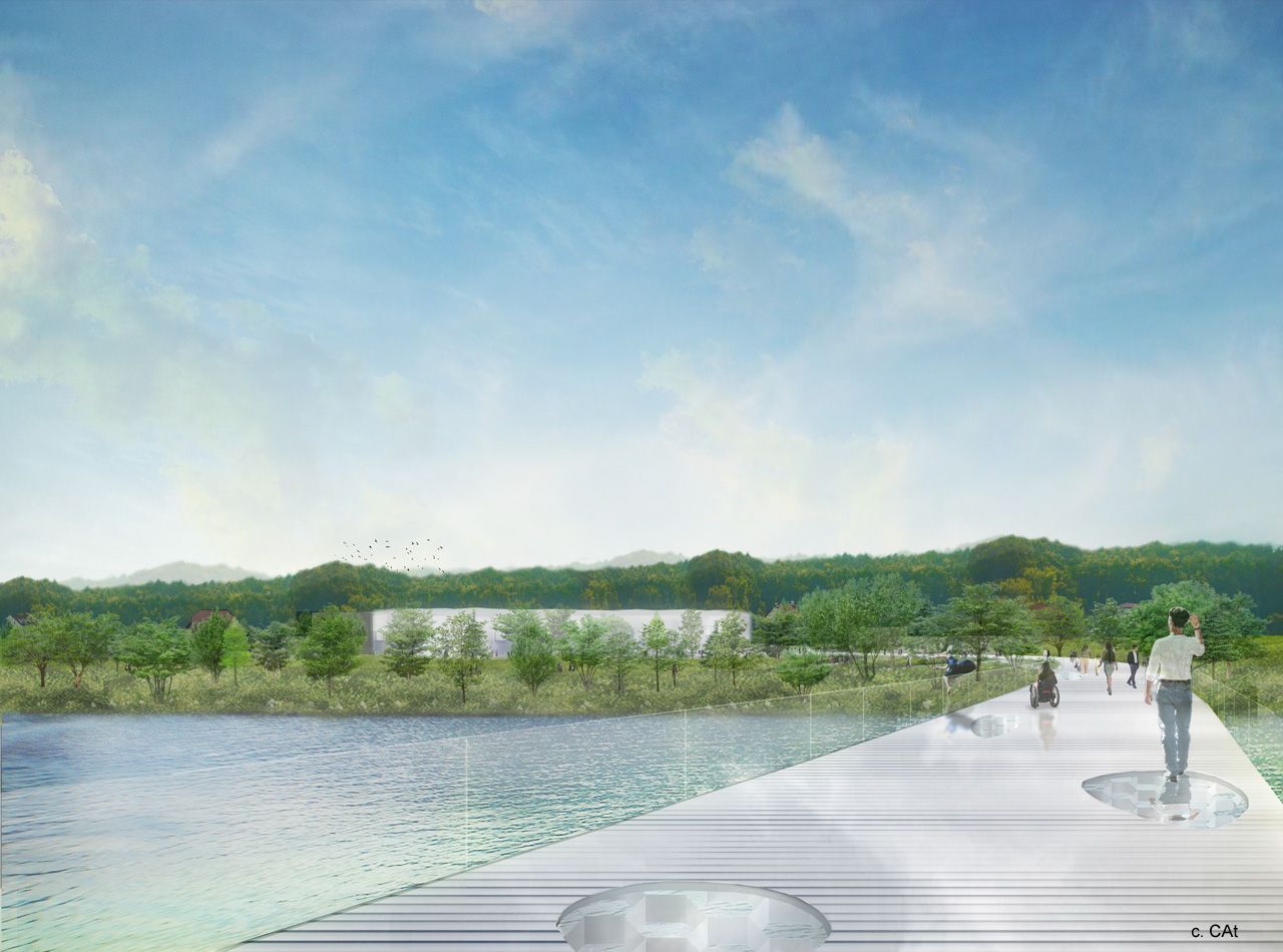 C+A - Coelacanth and Associates | Kunsthistorisches Private Museum Austria