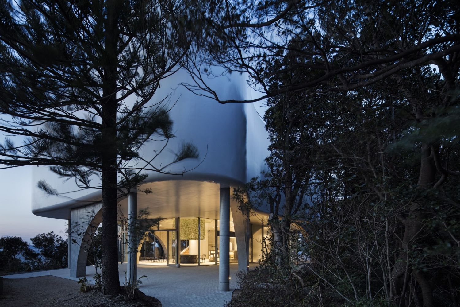 C+A - Coelacanth and Associates | Minakata Kumagusu Museum